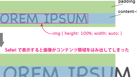 【CSS】height: 100% を指定した img が Safari でボックスからはみ出す原因と解決策